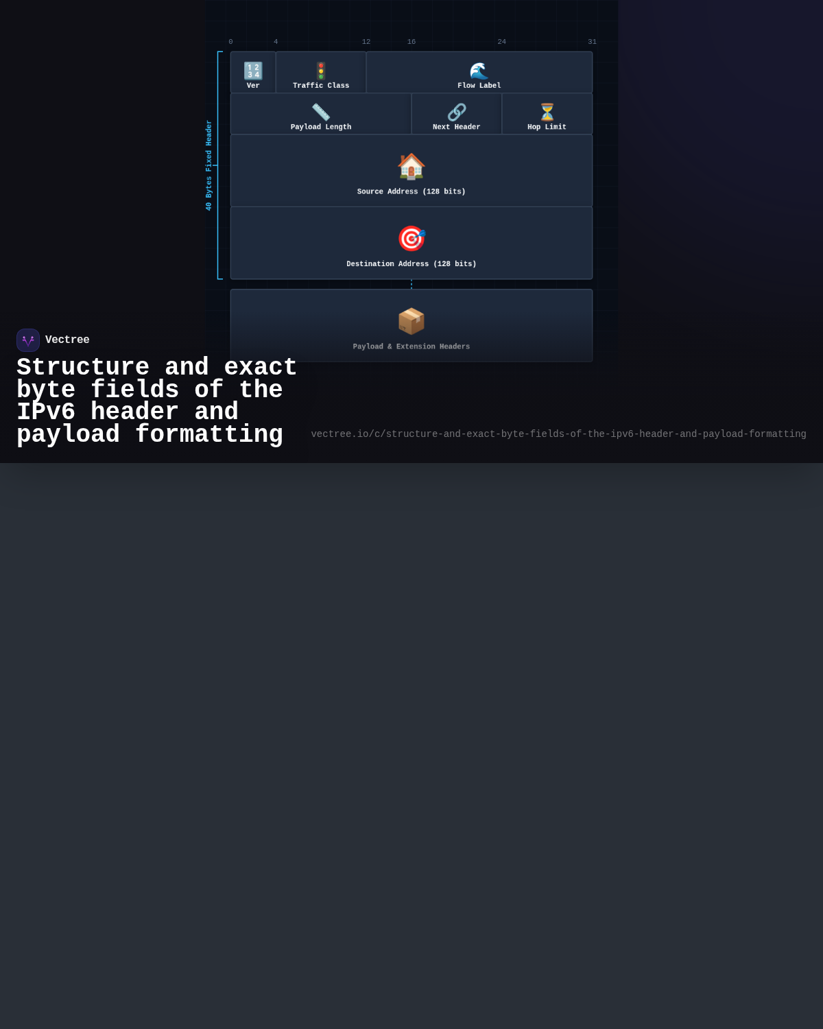 Structure and exact byte fields of the IPv6 header and payload ...